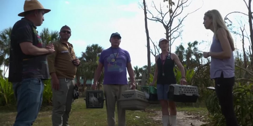 Saving parrots stranded by Ian Rescuers flock to save parrots stranded by Ian | Myanmar ...